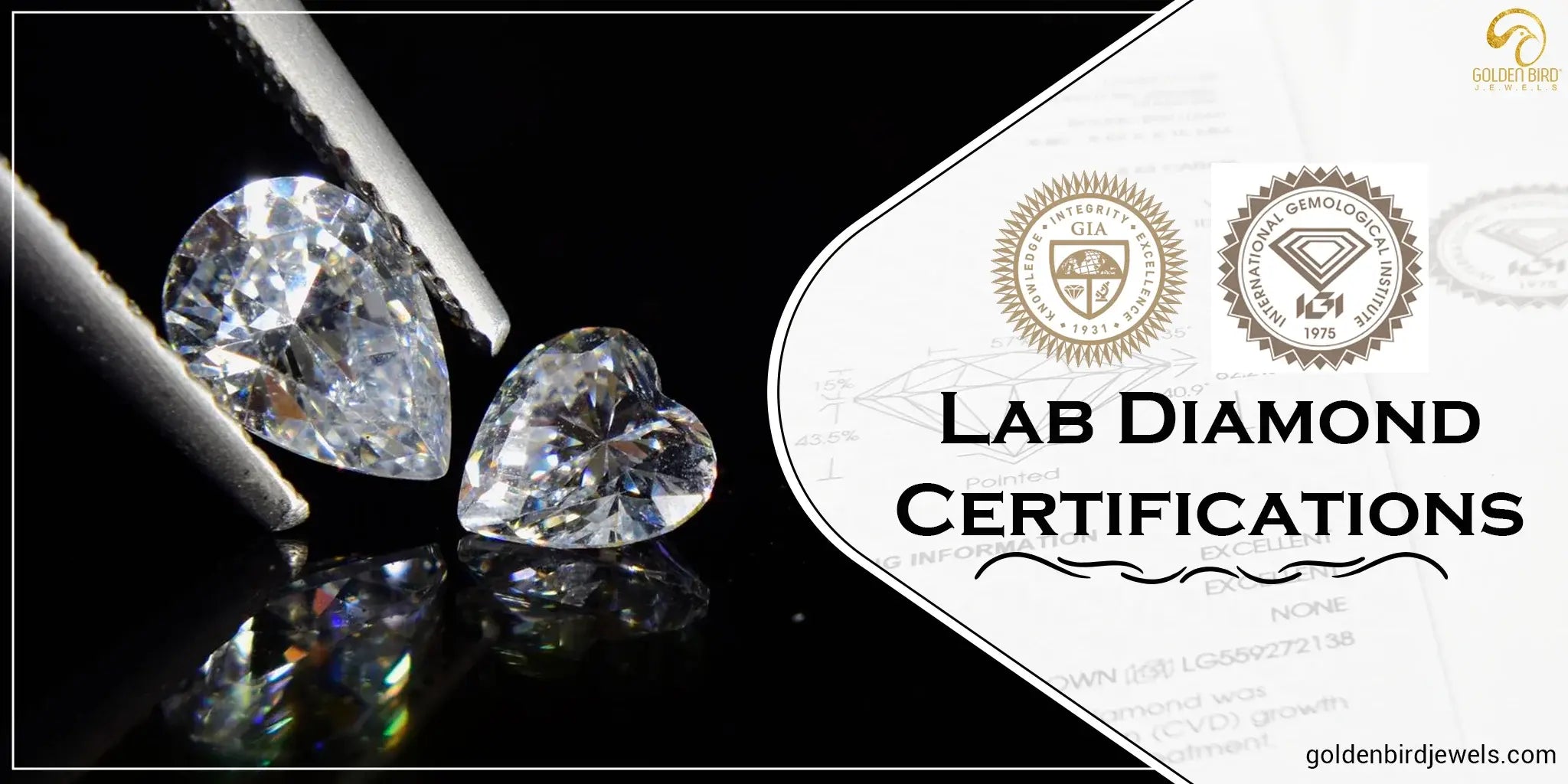 Navigating GIA And IGI Certified Lab Diamonds